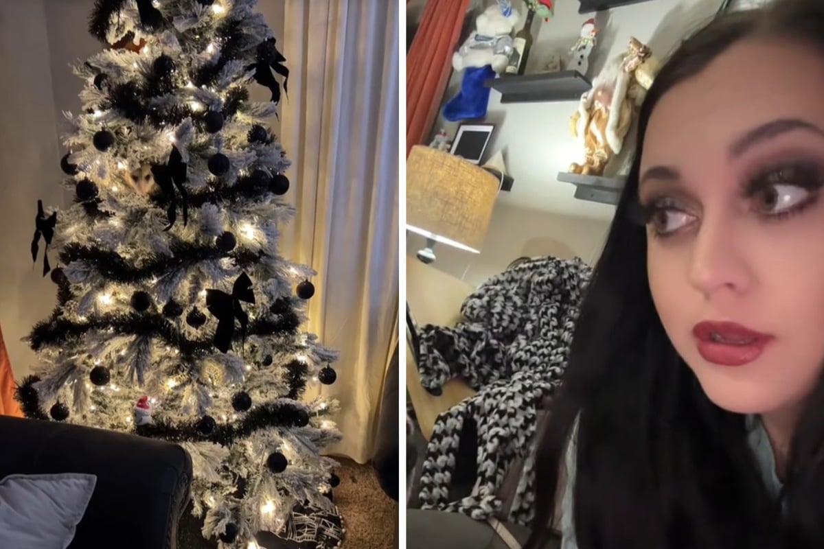 Woman hears strange noise from Christmas tree and is shocked by furry ...