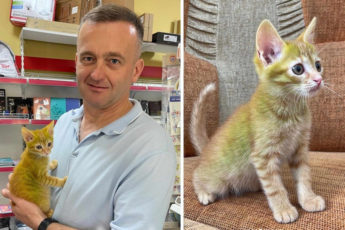 Naturally green kitten leaves doctors stumped