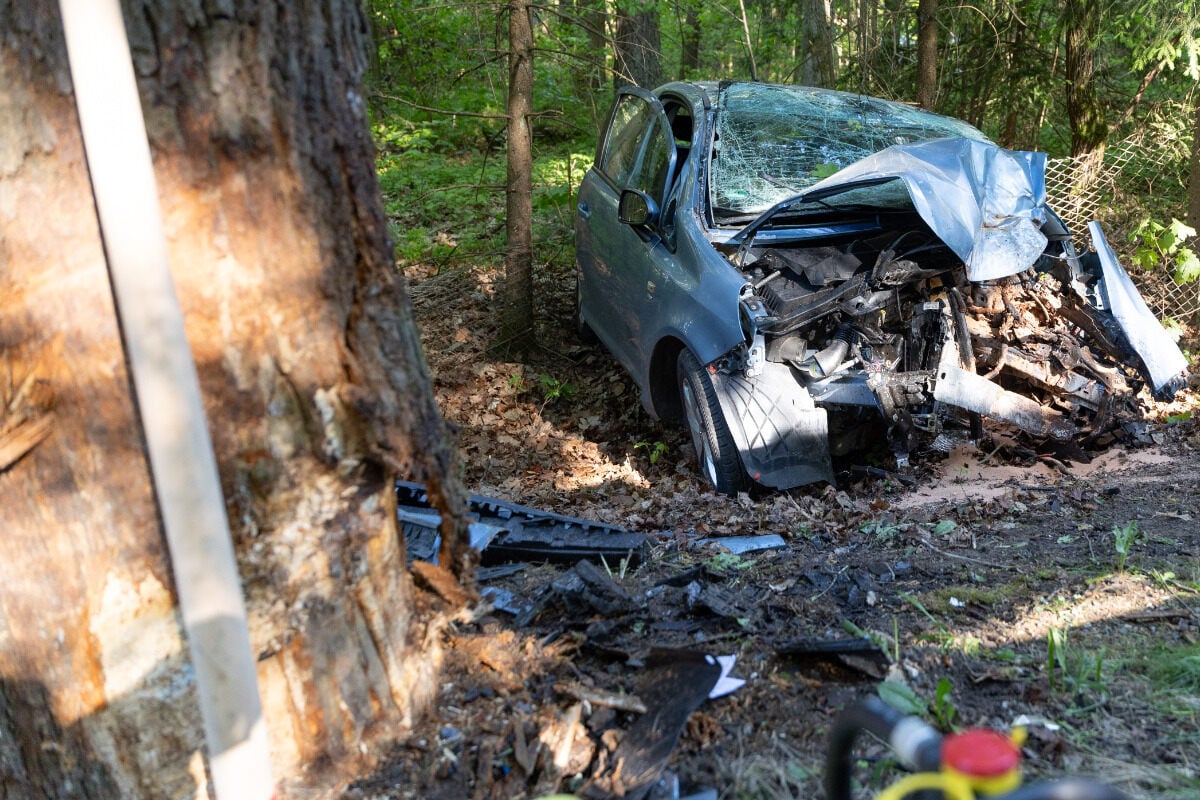 Autofahrer kracht frontal gegen Baum und stirbt