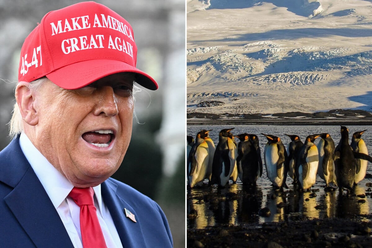 Trump's tariff on island inhabited only by penguins sparks flood of memes