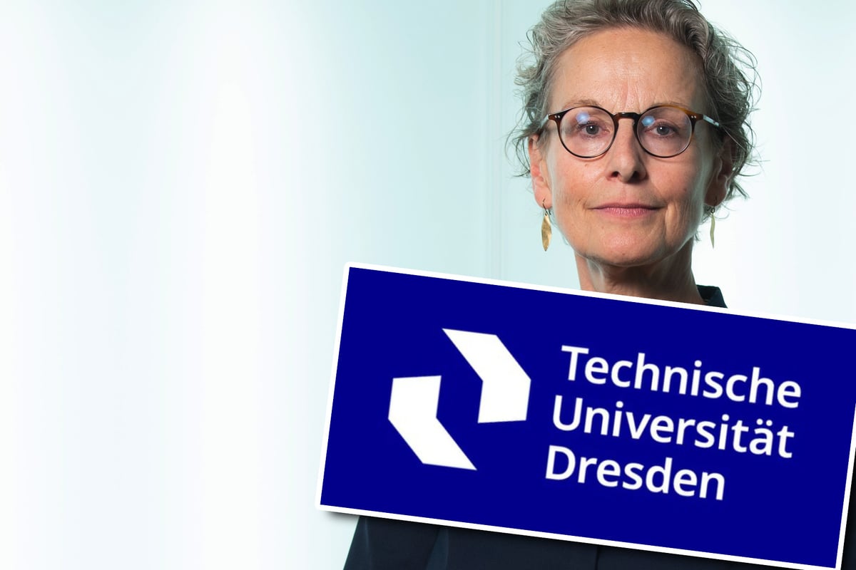 TU Dresden: Neues Logo der TU Dresden erhitzt die Gemüter
