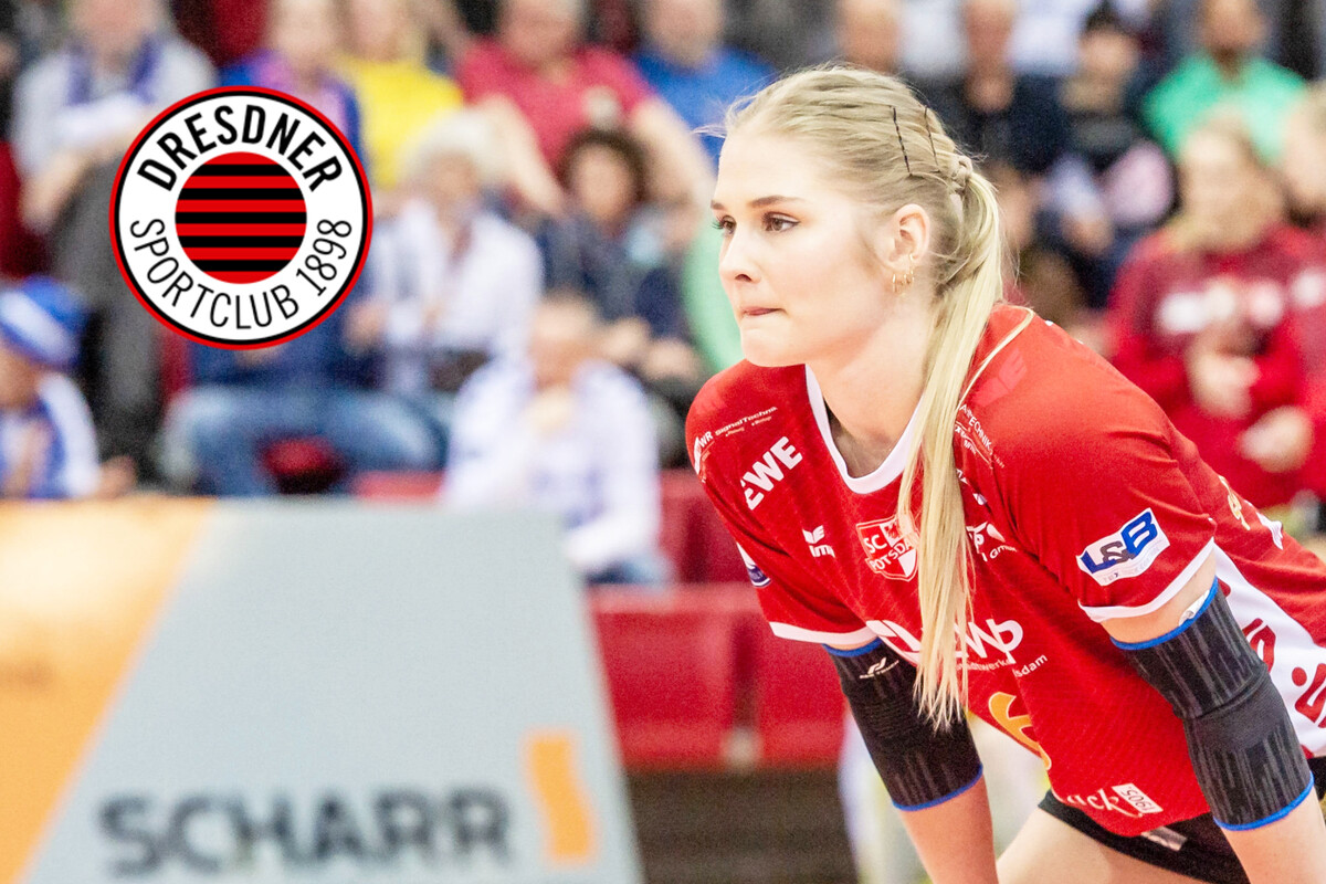 DSC Volleyball: Hester Jasper kommt aus Potsdam nach Dresden