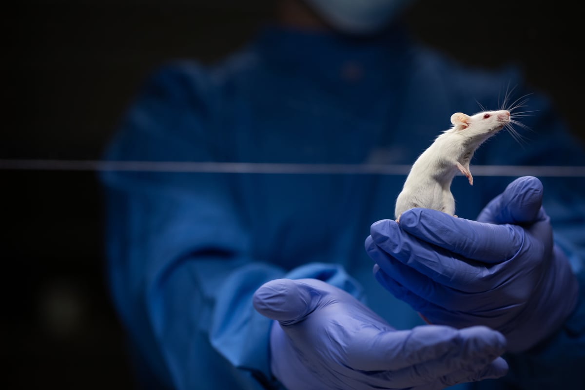 Chinese scientists successfully create mice with two fathers!