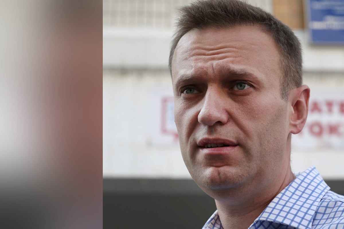 Russian government critic poisoned? Alexei Navalny in hospital
