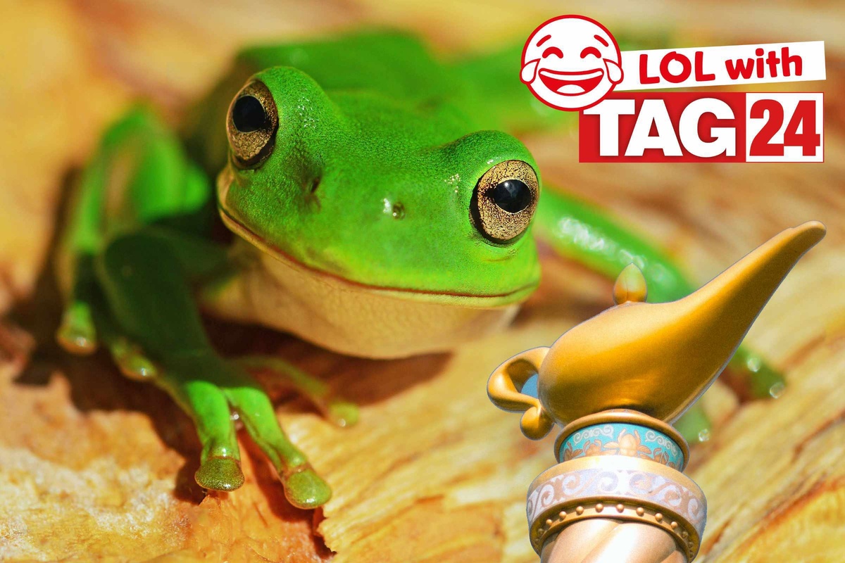 Joke of the Day for September 25, 2025: A hopping animal funny to make ...