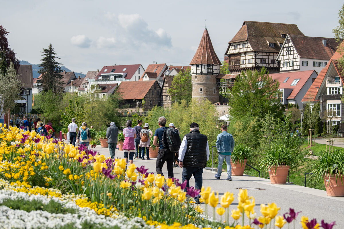 Schweres Unwetter in Balingen: Hochwasser und Blitzeinschlag im ...