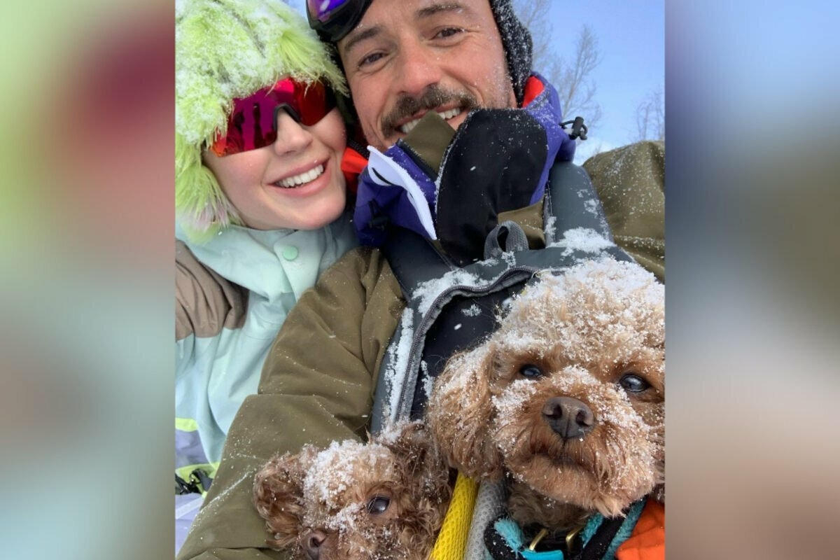 Katy Perry and her dog ready to go vegan, but followers raise concerns