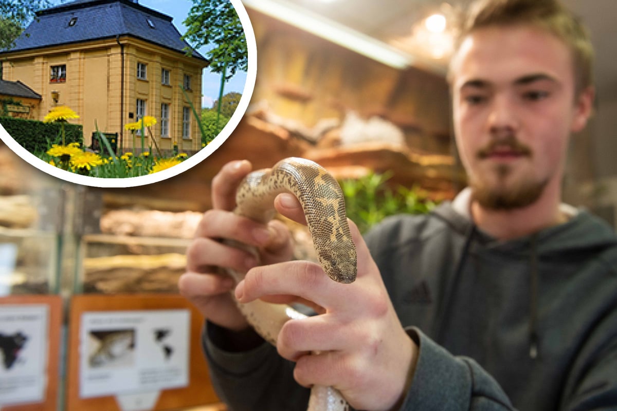 Jugend-Öko-Haus im Großen Garten in Dresden droht nach 31 Jahren die Schließung