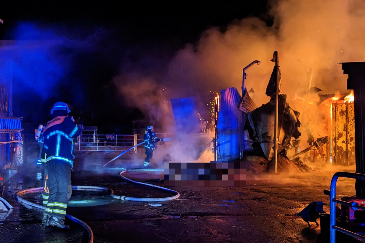 Hamburg: Pferdestall in Flammen - Neun Tiere in den Flammen verendet ...