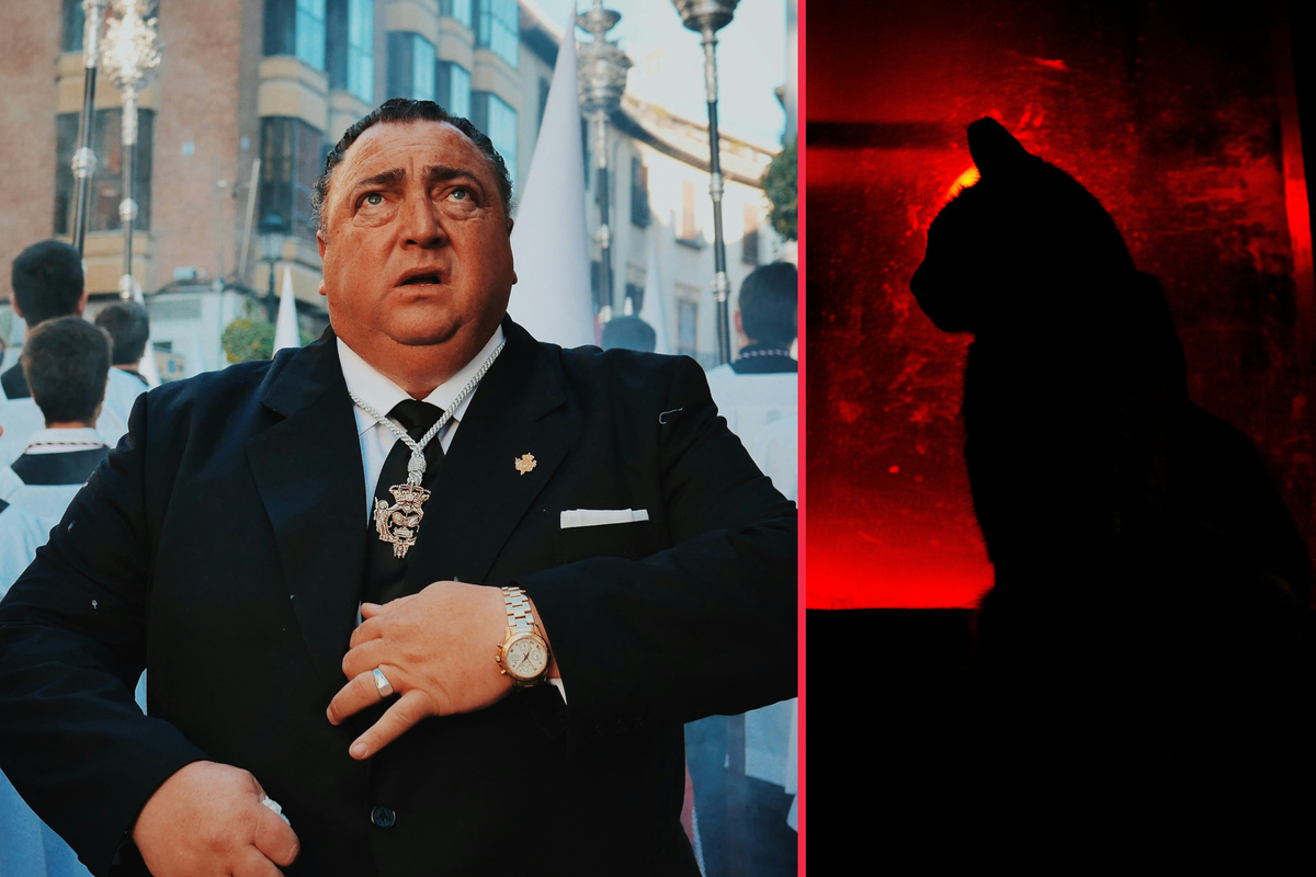 Fear of cats: What is ailurophobia and how can I help?