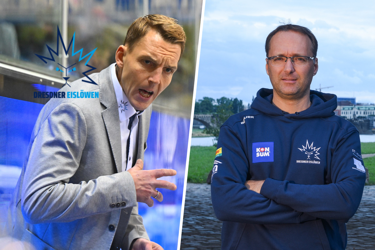 Dresdner Eislöwen "auf dem richtigen Weg": Matthias Roos stärkt Trainer ...