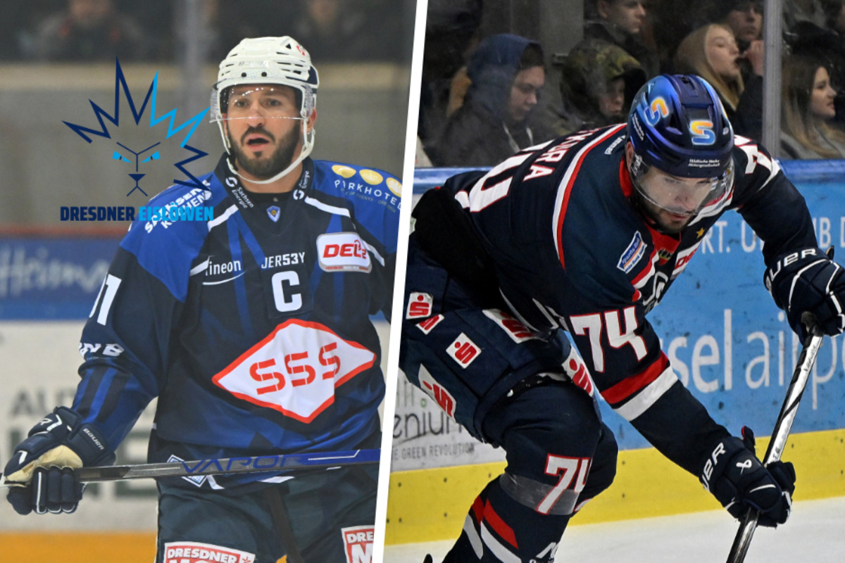 Dresdner Eislöwen holen Tomas Sykora von den Kassel Huskies: Wechsel perfekt!