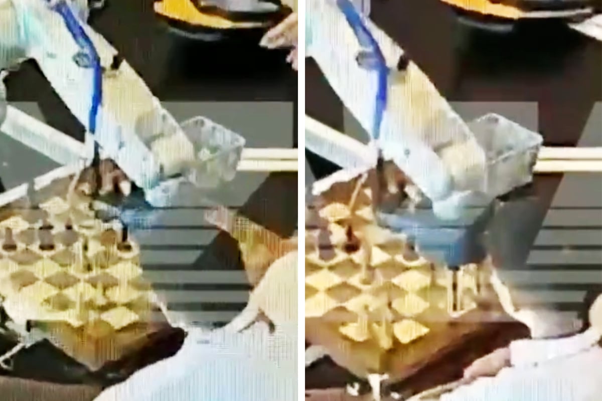 Chess robot breaks boy's finger during tournament match!