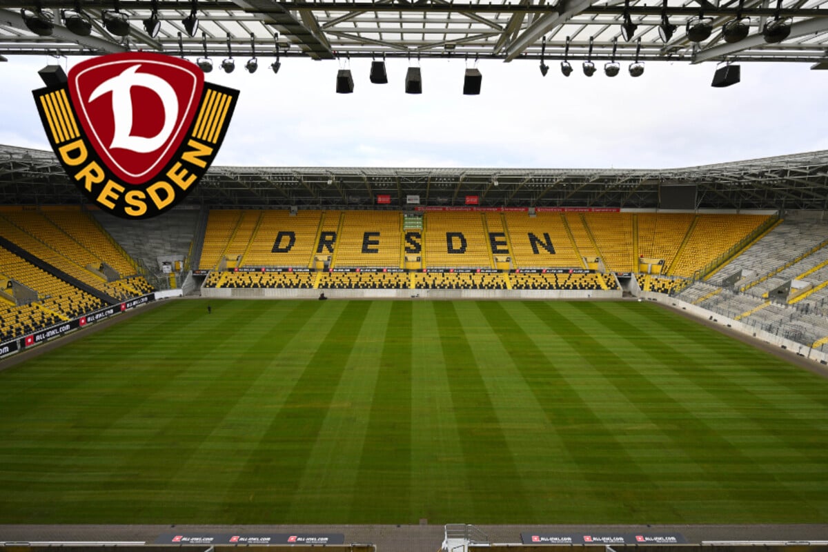 Dynamo Dresden: Pro Jahr fällt sechsstellige Summe an, um das Stadion ...