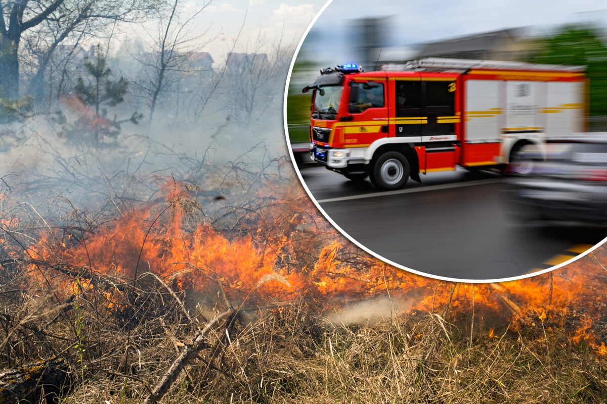 Dresden: Feuerwehr und Passanten kämpfen stadtweit gegen Brände von ...