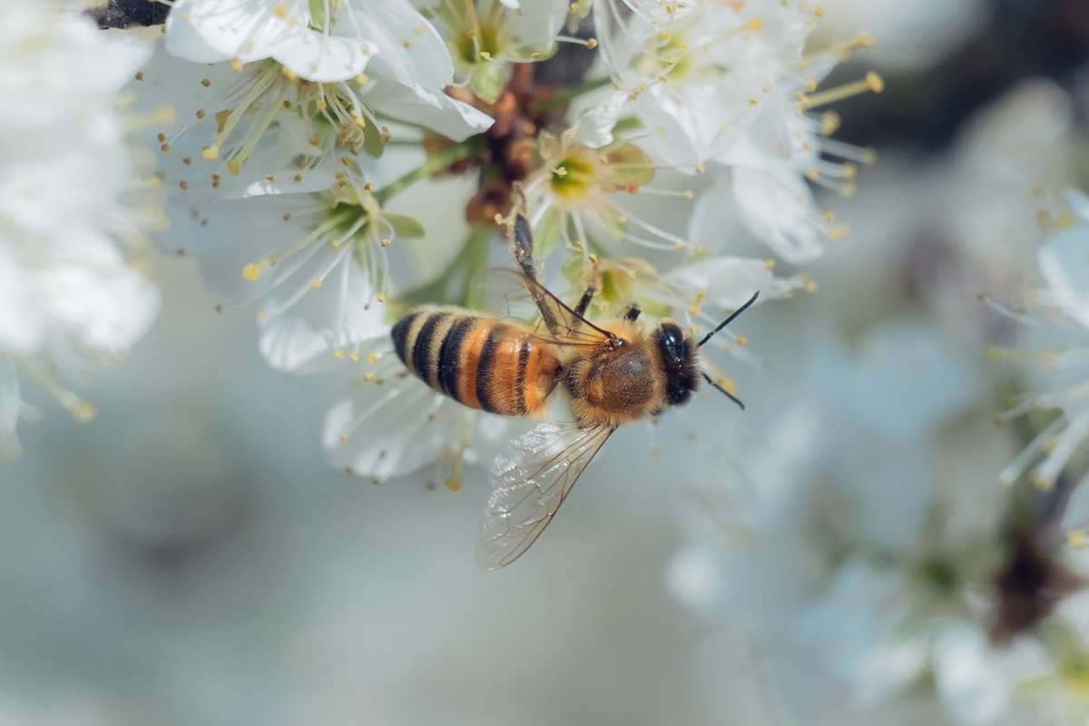 Fun Fact of the Day for May 20, 2024: Discover surprising trivia!