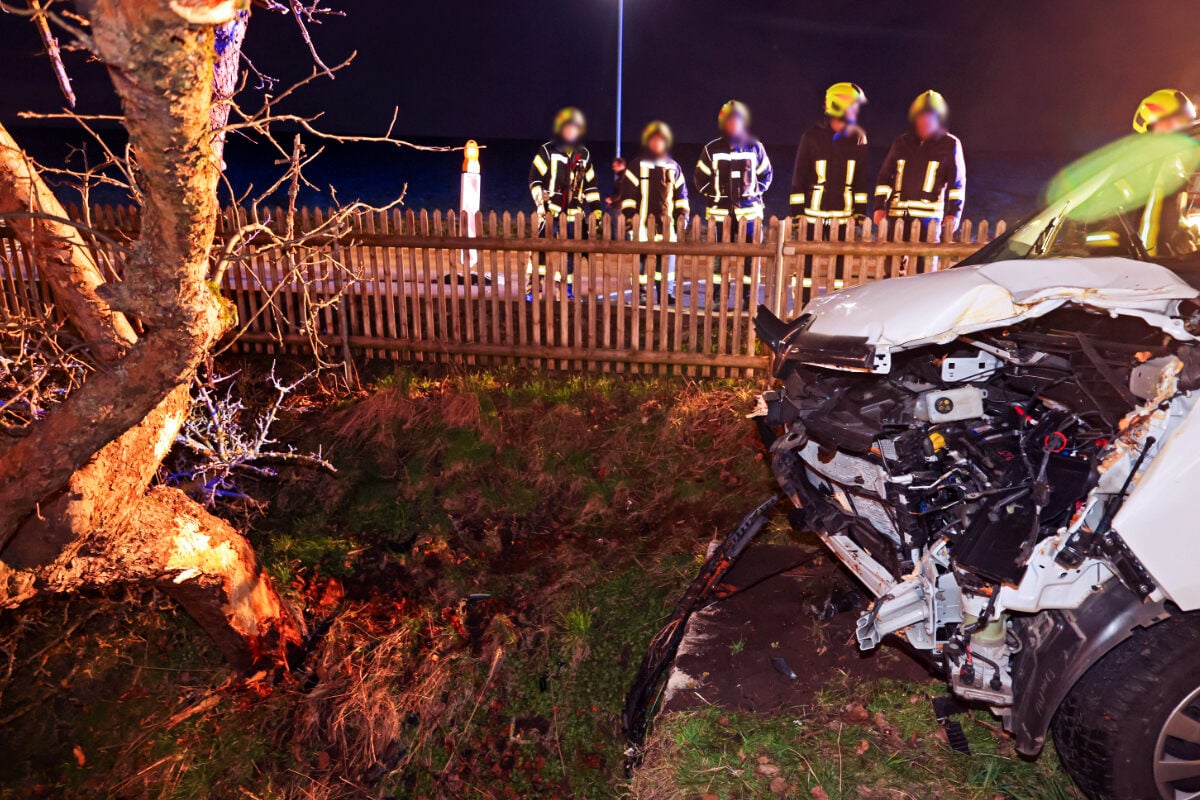 Kleinbus durchbricht Zaun in Dennheritz und kracht gegen Baum: Zwei Verletzte