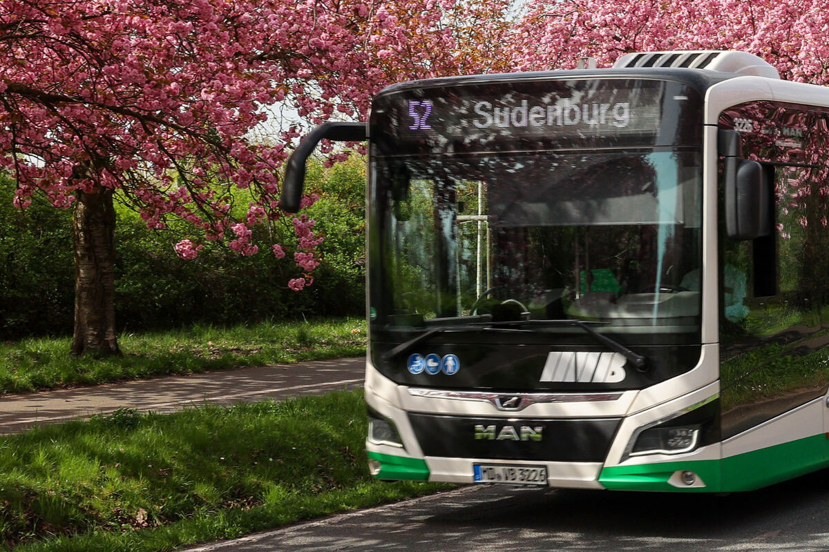 Mageburg: Diese MVB-Linie wird Sonntag nur eingeschränkt fahren können