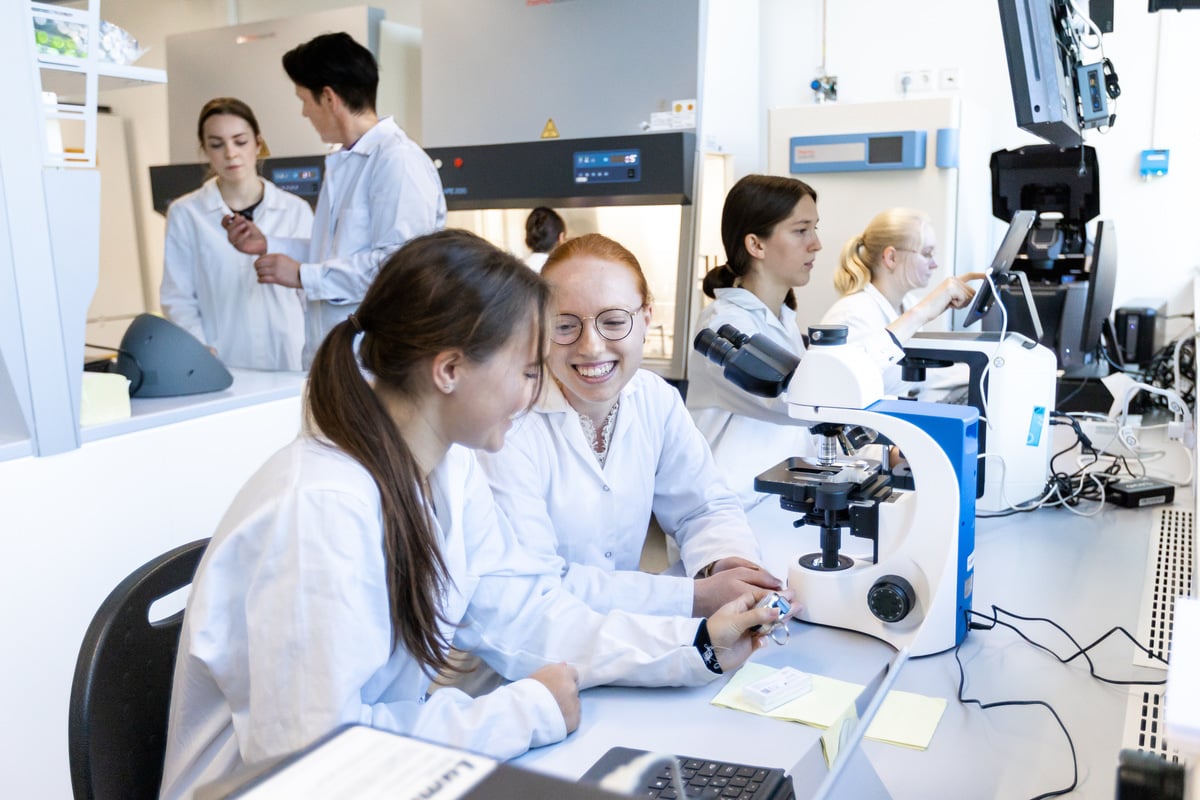 BA Riesa: Hier gibt's am Samstag (25.3.) Infos zum Thema duales Studium