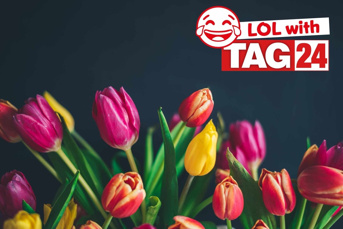 Joke of the Day for April 11, 2024: Get your funny on