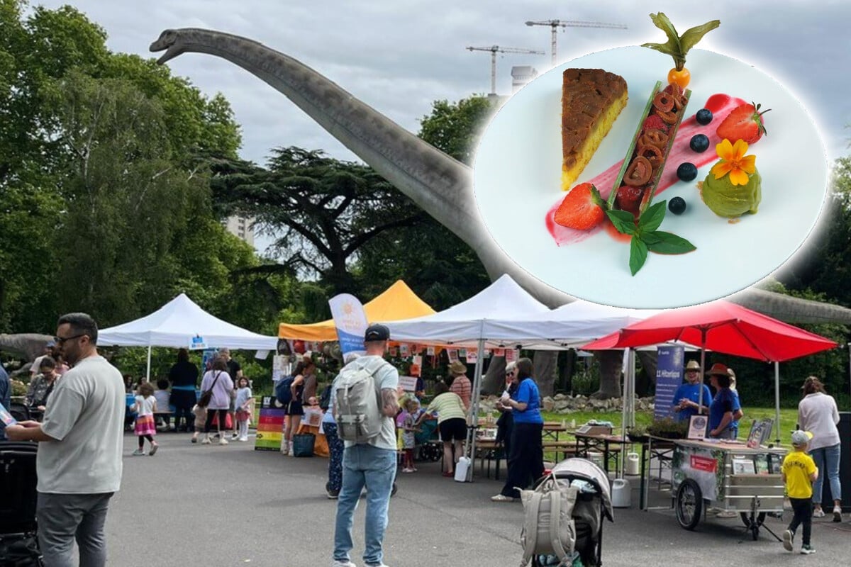 Kölner Zoo zeigt, wie es geht: Klimaschutz mit Genussfaktor