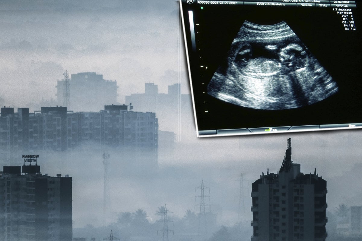 Pollution particles can reach babies in the womb, study shows