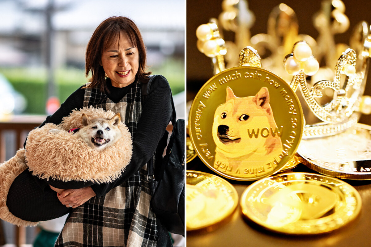 "Doge" dog who inspired memes and Musk's favorite cryptocurrency passes ...