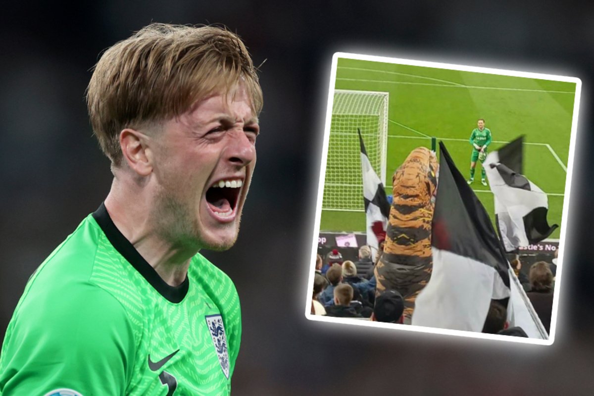 Für "T-Rex-Arme" verhöhnt: Englands Nummer eins Jordan Pickford in ...