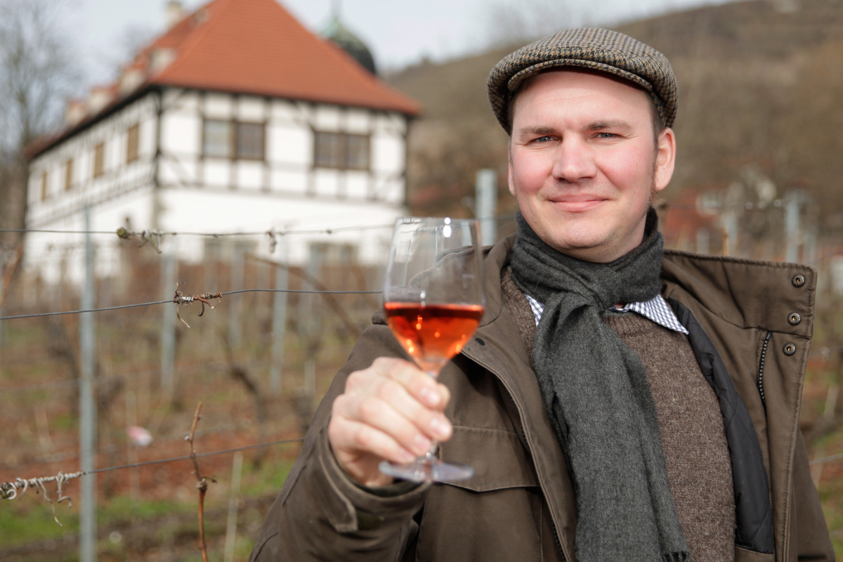 Nach den Frostverlusten im Vorjahr: Winzer hoffen auf volle Reben