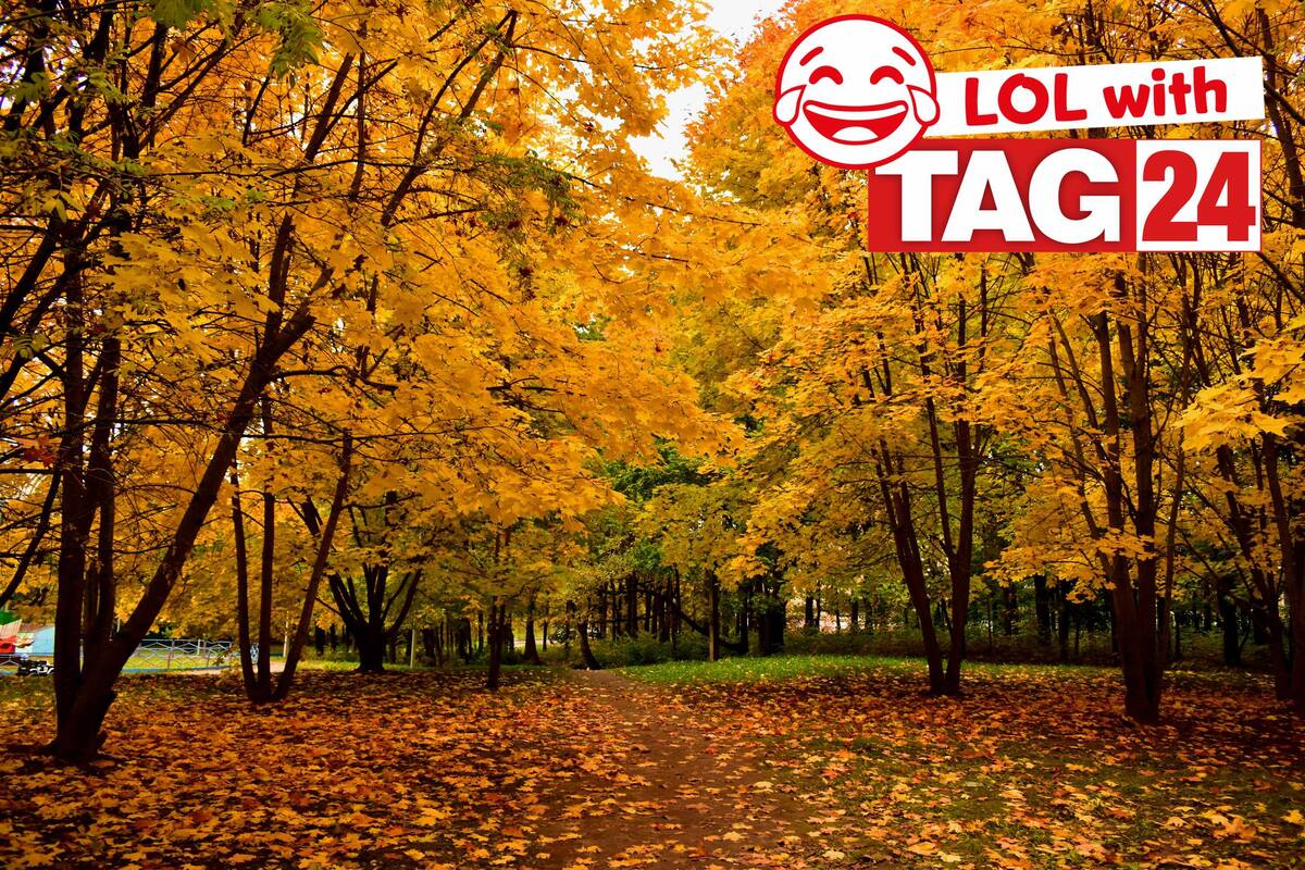 Joke of the Night for November 25, 2024: The best Autumn jokes to laugh ...