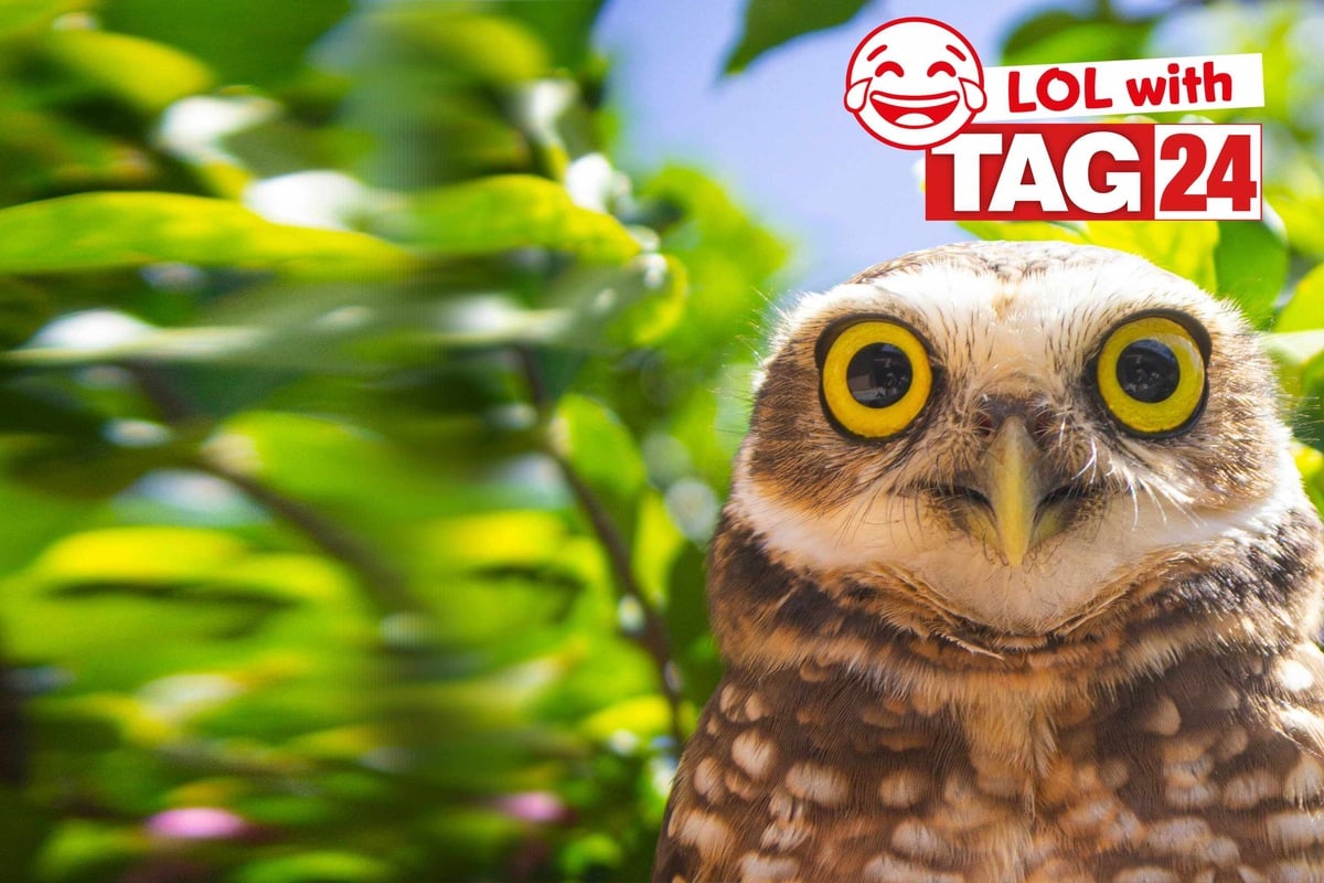 Joke of the Day for April 1, 2024: Get your funny on