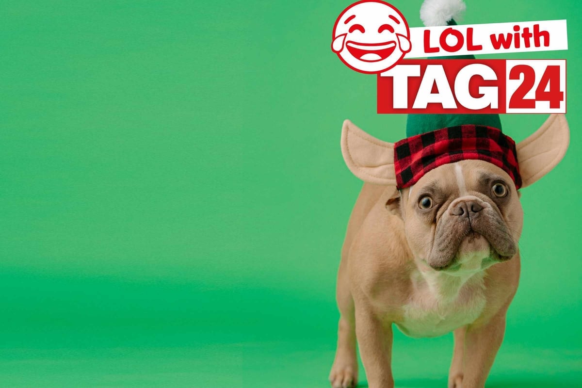 Joke of the Day for December 7, 2025: A Christmas joke for Sunday Funday