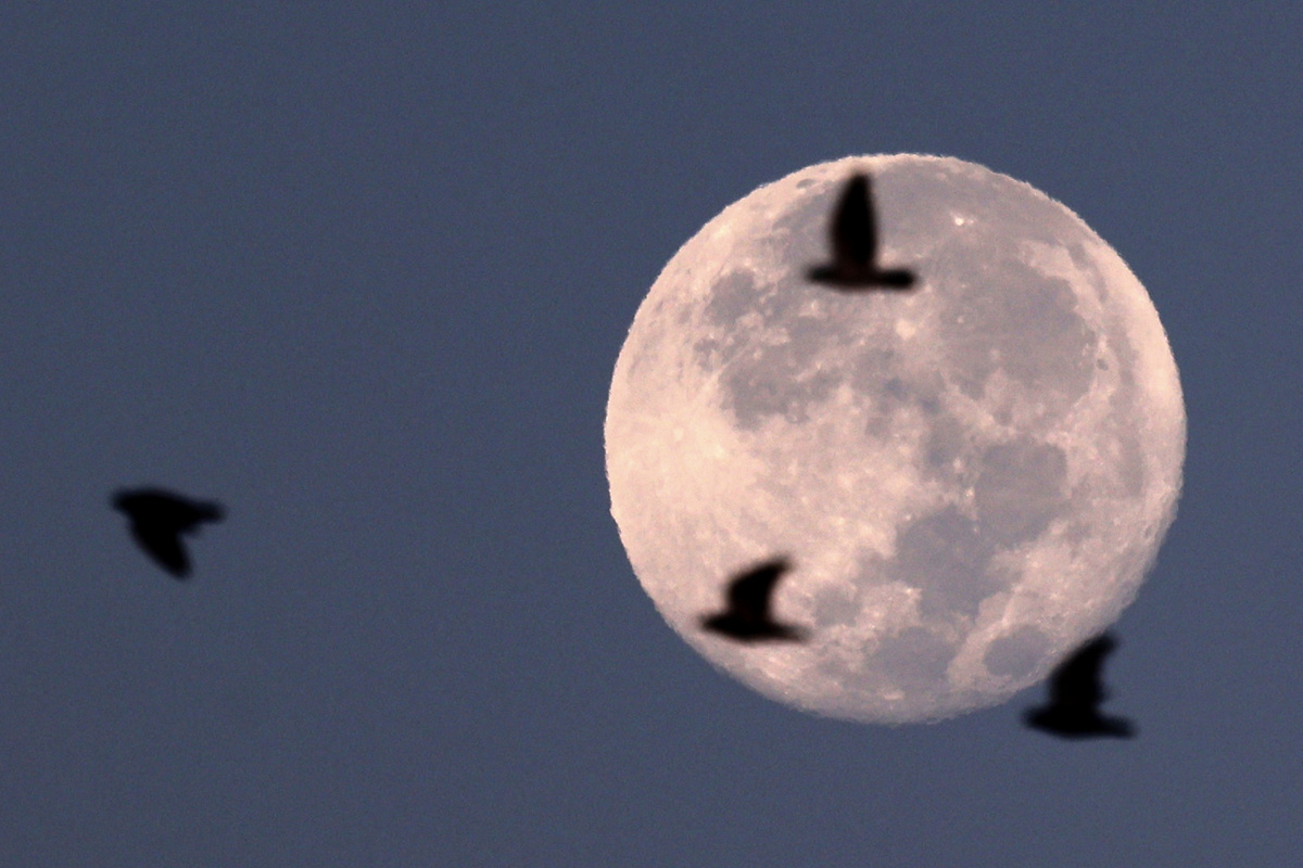 How to see the big, gleaming super blue moon in US on Wednesday night
