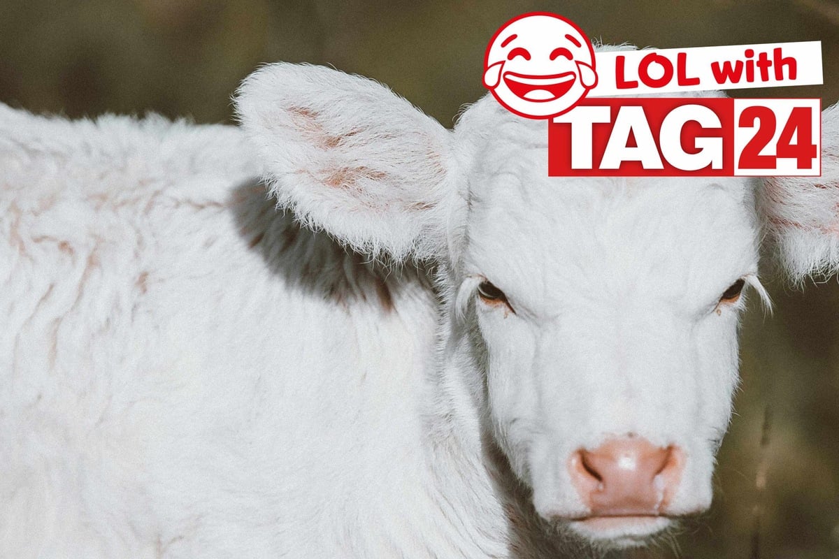 Joke of the Day for June 25, 2024: Get your funny on