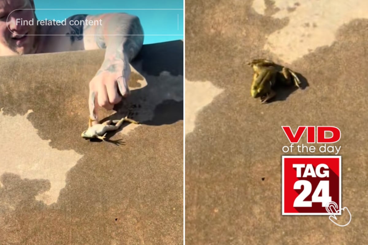 Viral Video of the Day for August 10, 2025: Man resurrects "dead" frog ...