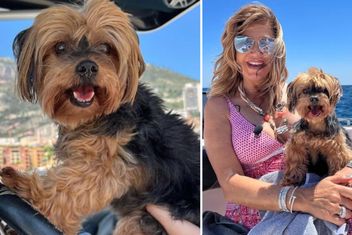 Die Geissens: Hund Maddox wird hier zum Star!