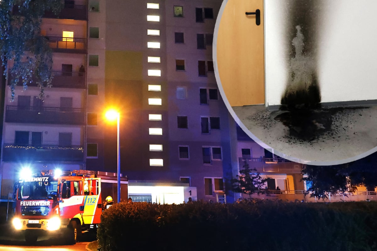 Wieder Feueralarm am Chemnitzer Harthwald: Irre Brandserie geht weiter