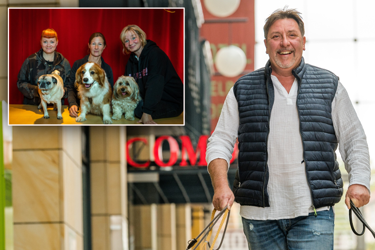 Thomas Böttcher fahndet in Dresden nach Bühnen-Wuffis: Hunde-Casting ...