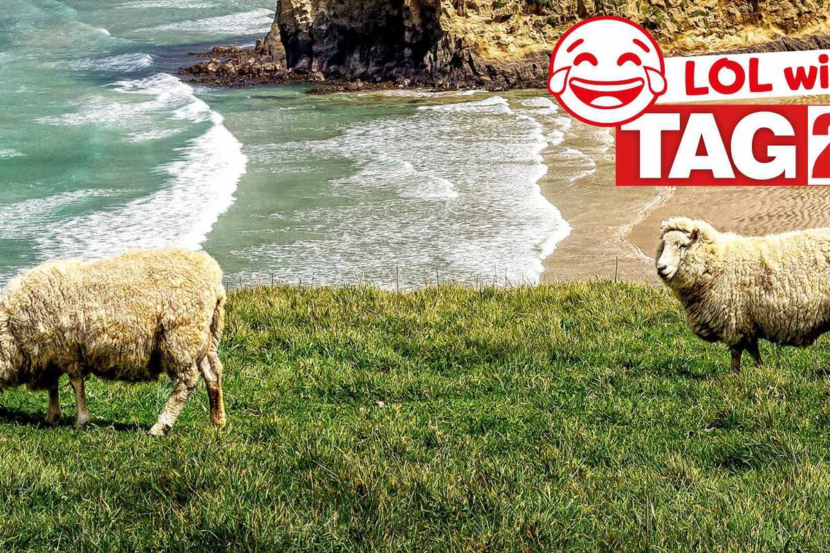 Joke of the Night for December 27, 2024: The best jokes to laugh the ...