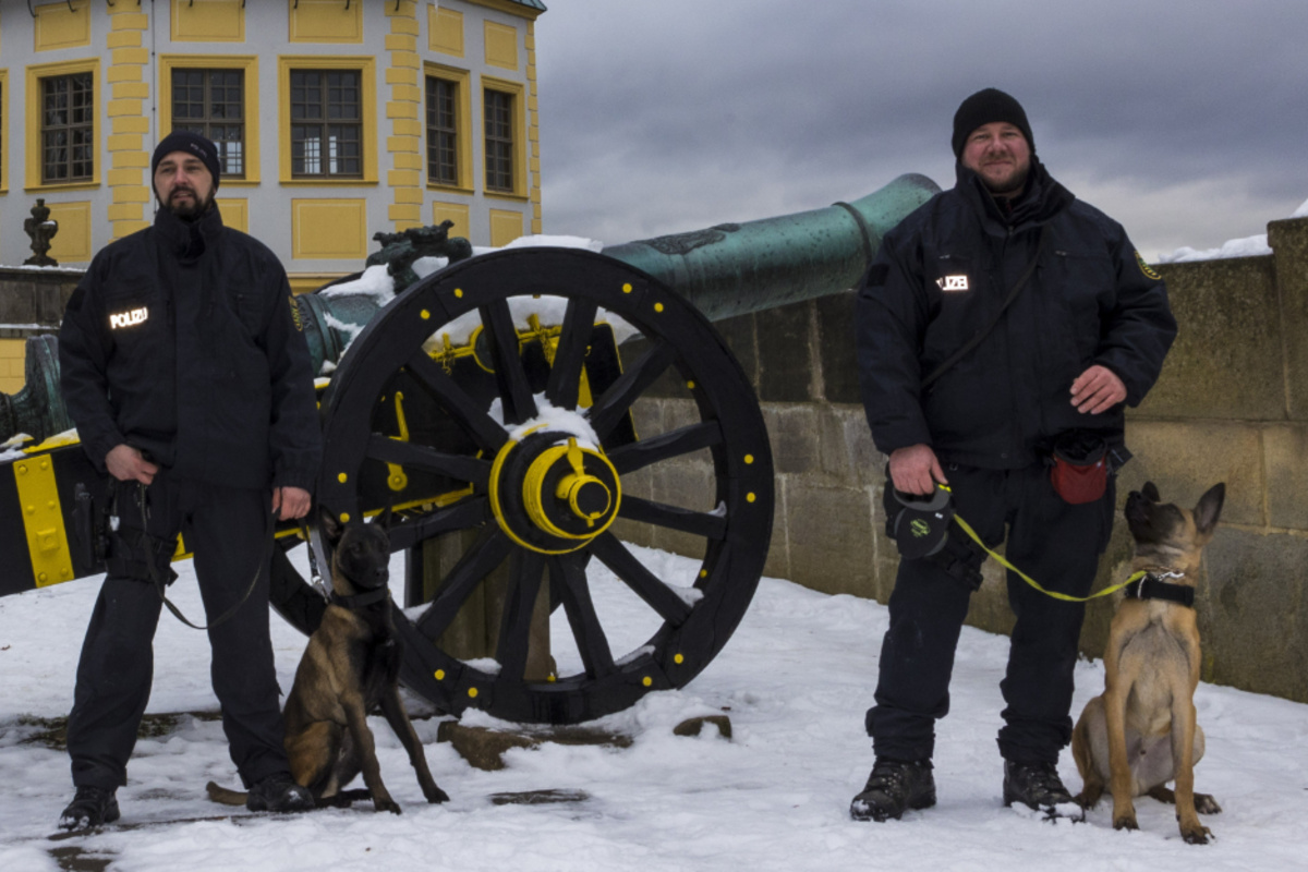 Dresdner Polizeihunde erobern Festung Königstein!