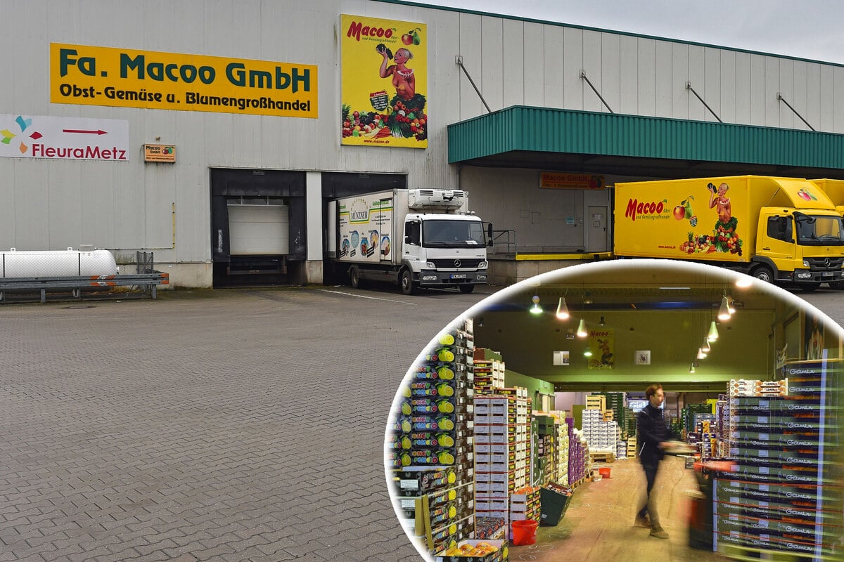 Macoo meldet Insolvenz an: Herausforderungen für Dresdner Großhändler