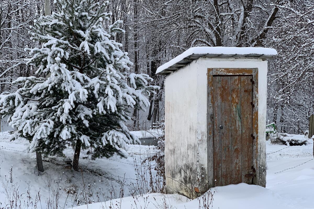 Woman gets mauled from below while using remote Alaskan outhouse