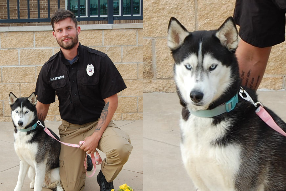 Shelter advertises dog but gets hundreds of calls for her hunky handler ...