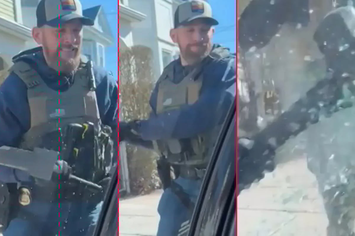 ICE agents smash car window during brutal arrest caught on camera