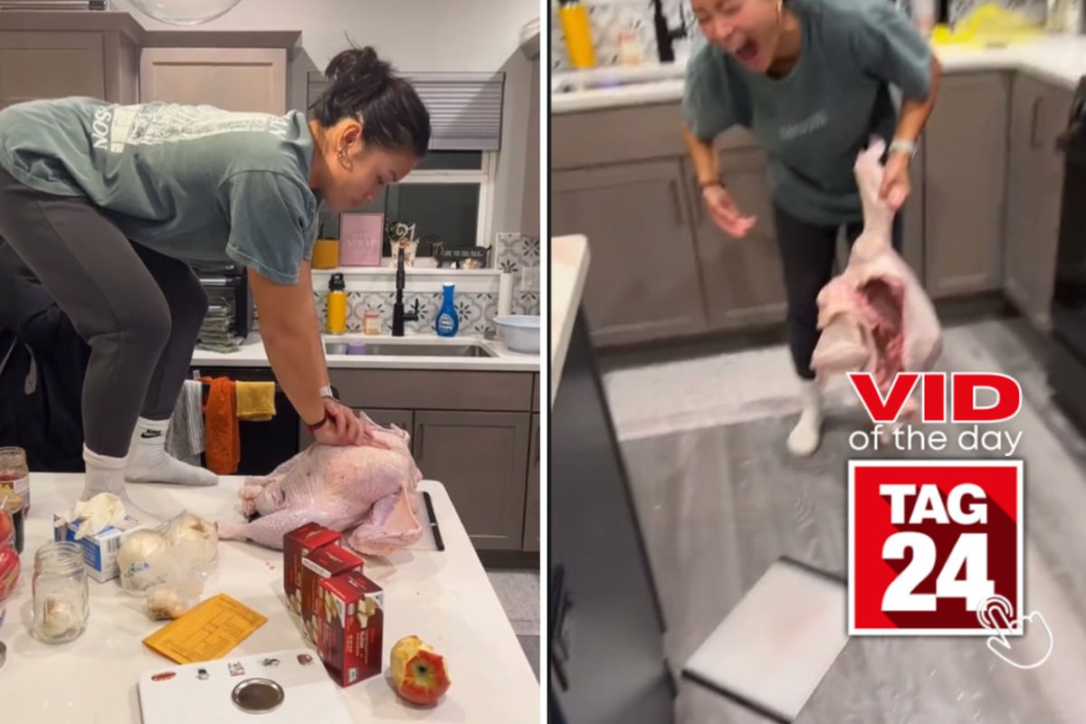 Viral Video of the Day for November 23, 2023: Thanksgiving turkey gets ...