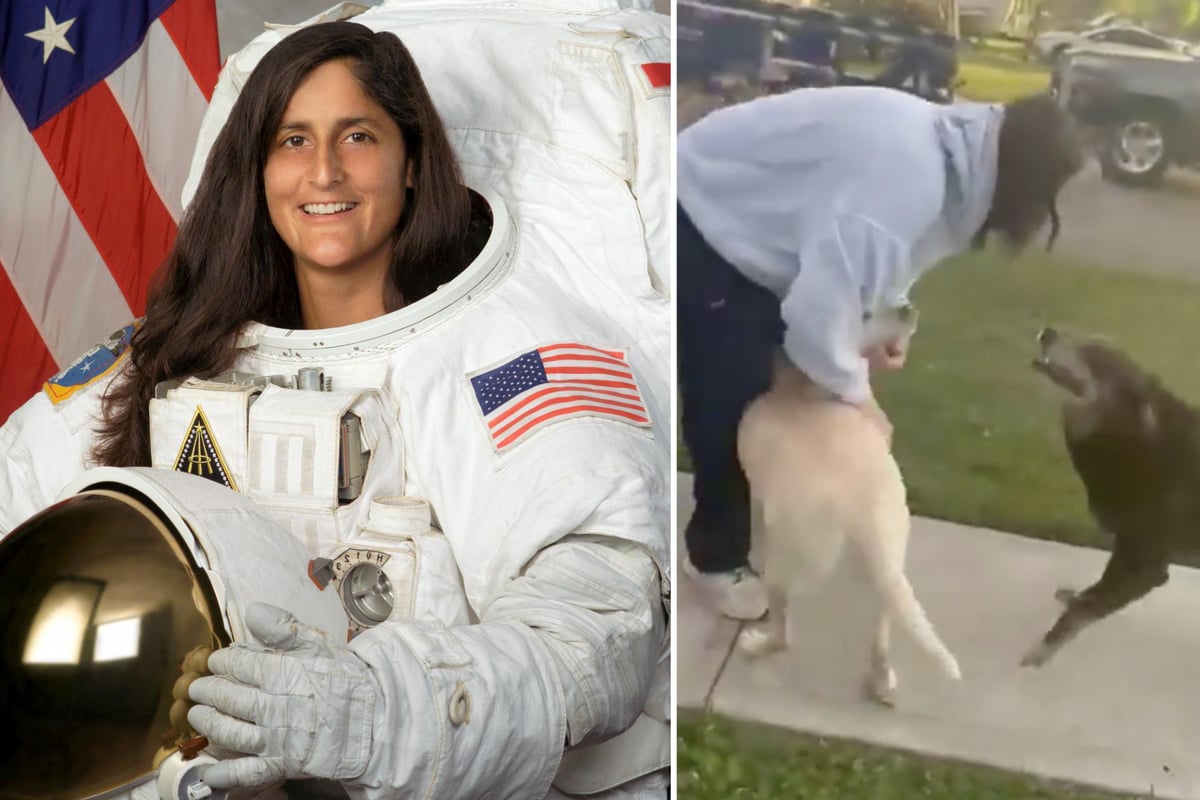 Astronaut Suni Williams shares sweet reunion with her dogs after months ...