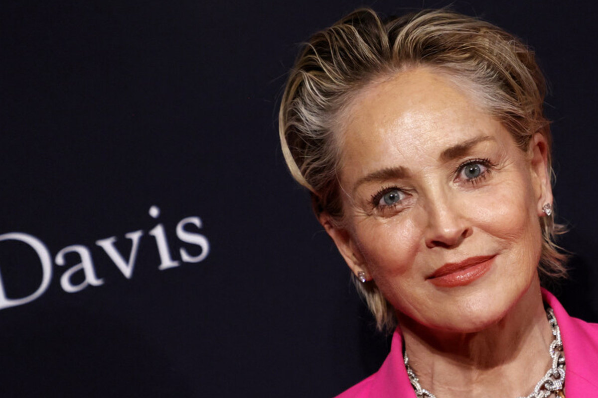 Sharon Stone: "Basic Instinct"-Rolle kostete mich Sorgerecht für meinen ...