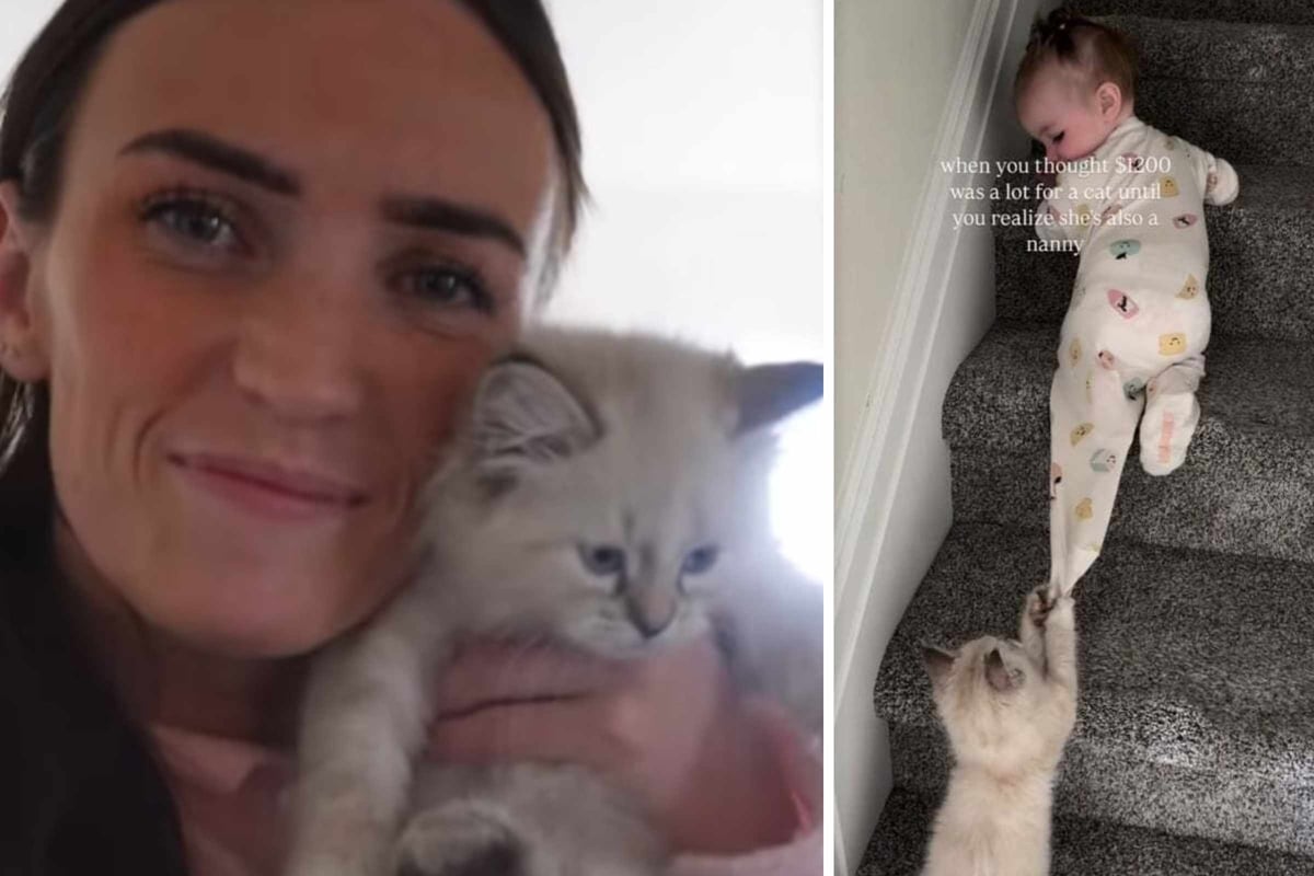 Kitten is adorably protective of her baby sister: "The nanny position ...