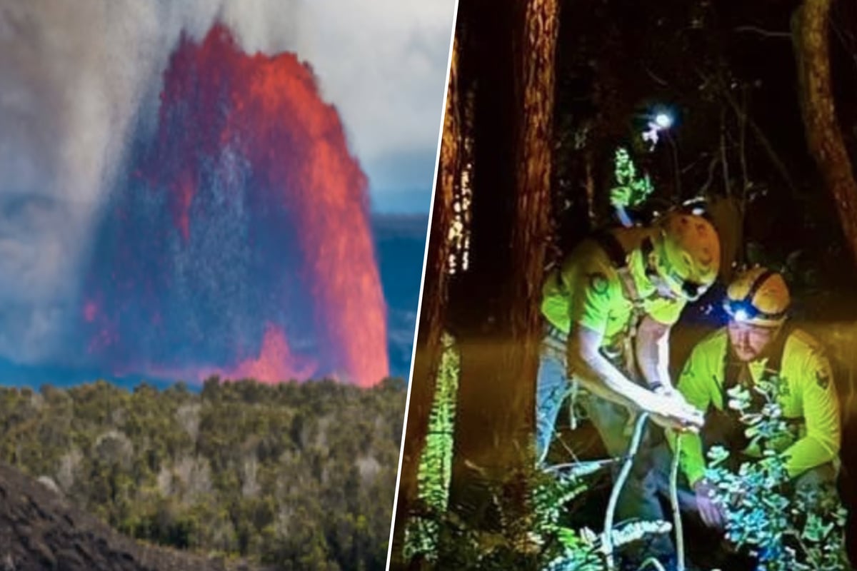 Tourist falls into the depths while viewing active Hawaii volcano