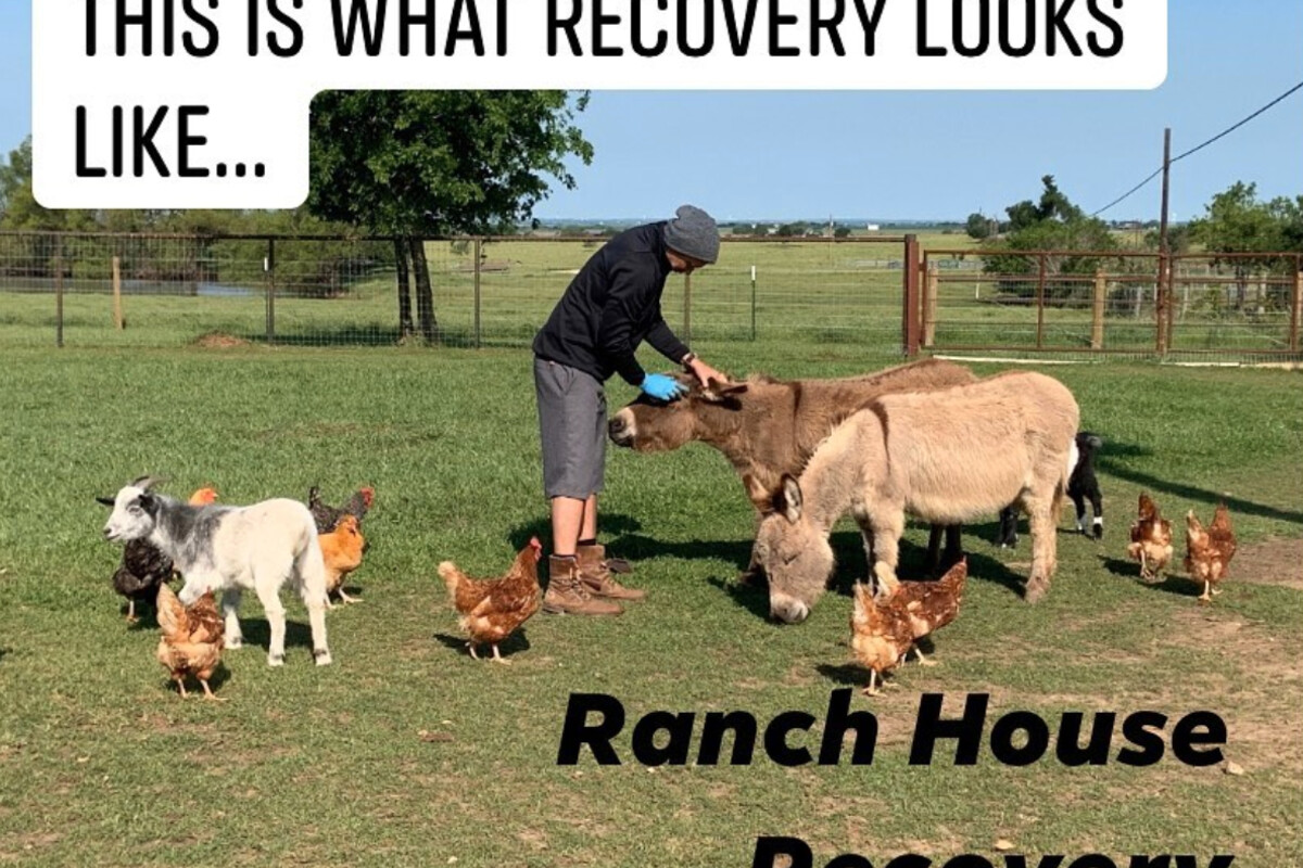 Animals at Austin ranch give recovering addicts a helping paw